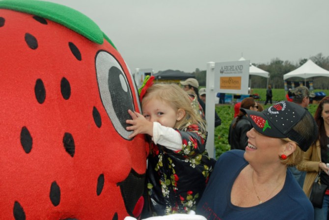 Stevie And Jammer Florida Strawberry
