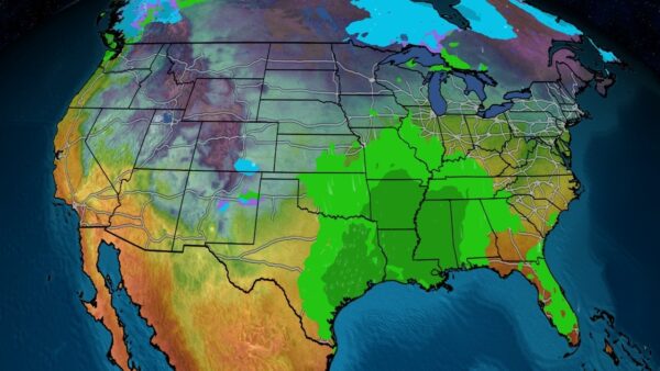 The Weather Channel - Florida Strawberry