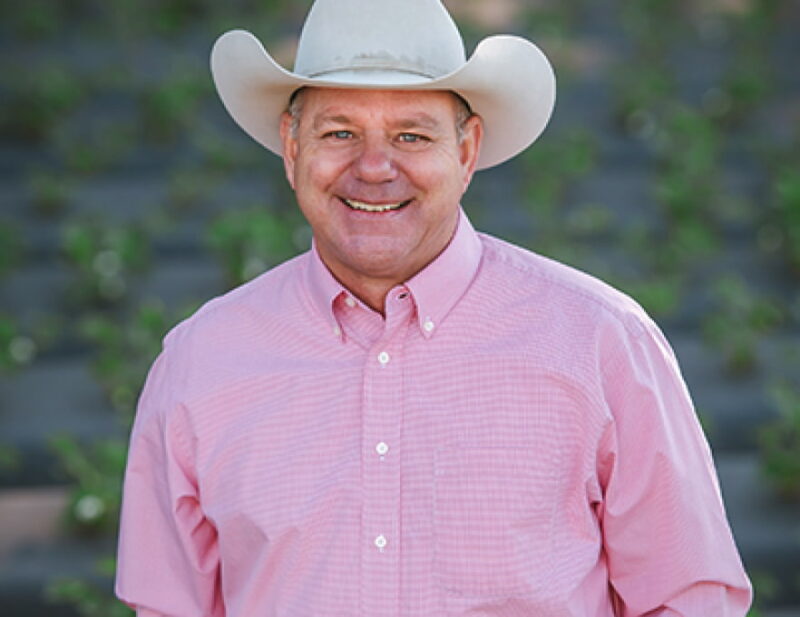 About FSGA - Florida Strawberry