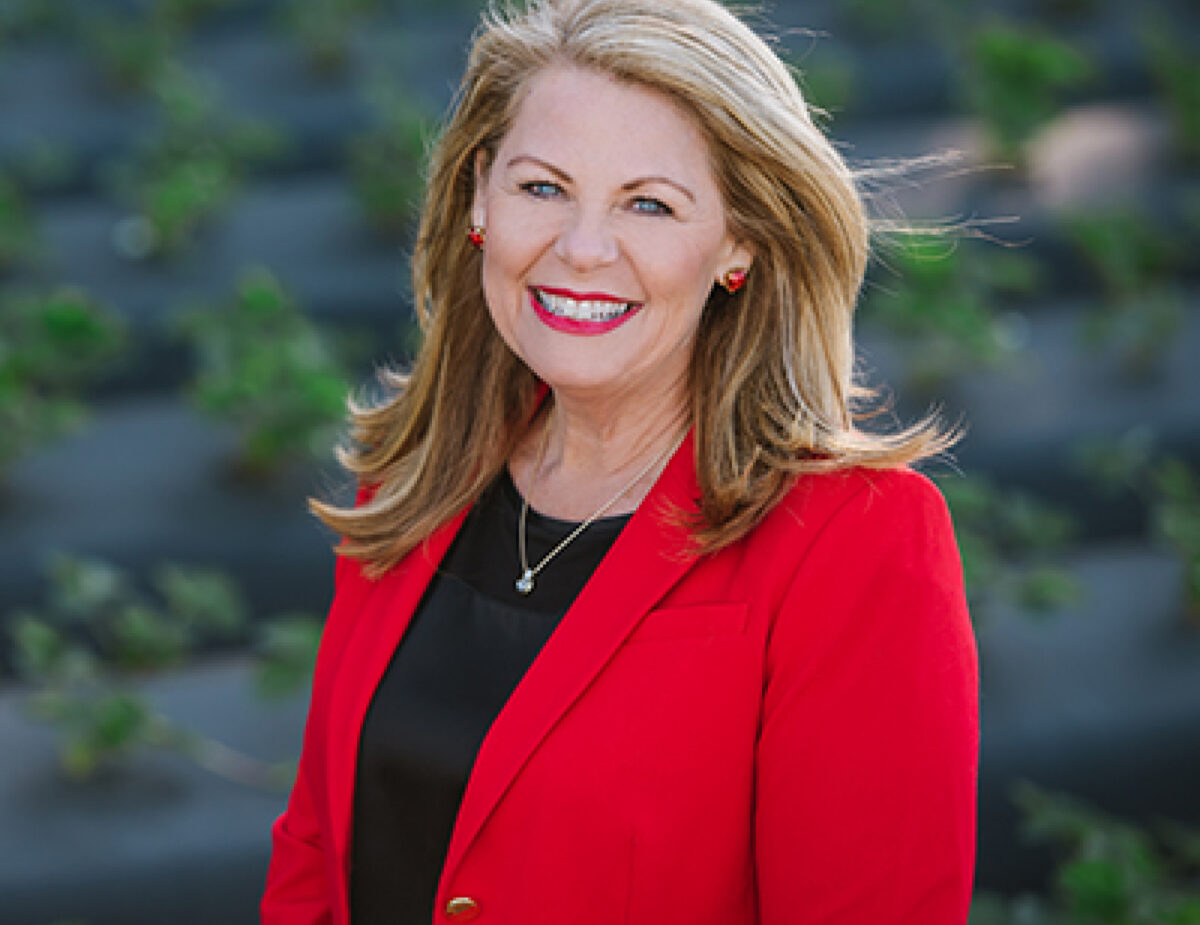 About FSGA - Florida Strawberry